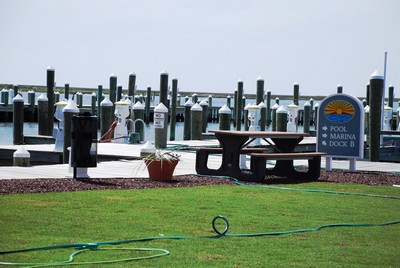 Common Area Beautification Project | Harbour Light Condominium Association