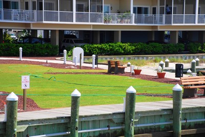 Common Area Beautification Project | Harbour Light Condominium Association