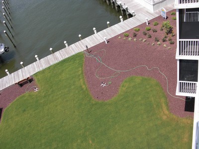 Common Area Beautification Project | Harbour Light Condominium Association